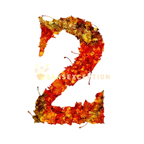 number 2 initial red color leaves ultra realistic - symbols 2D PNG ...